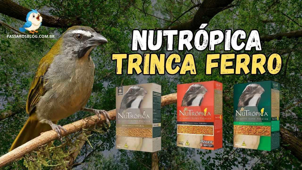Melhores Rações Nutrópica Trinca Ferro - Análise completa!